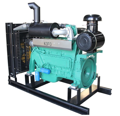 RICARDO KOFO 6126-42DE | Shandong Kofo Power Co., Ltd